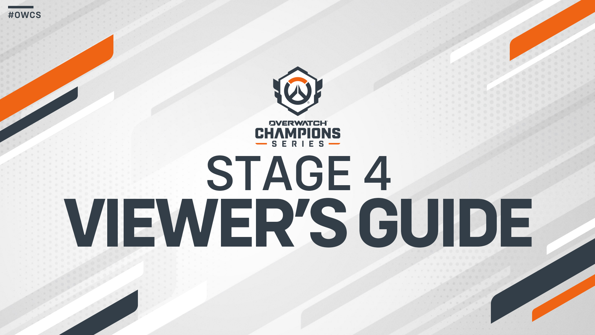 Stage 4 Viewer's Guide